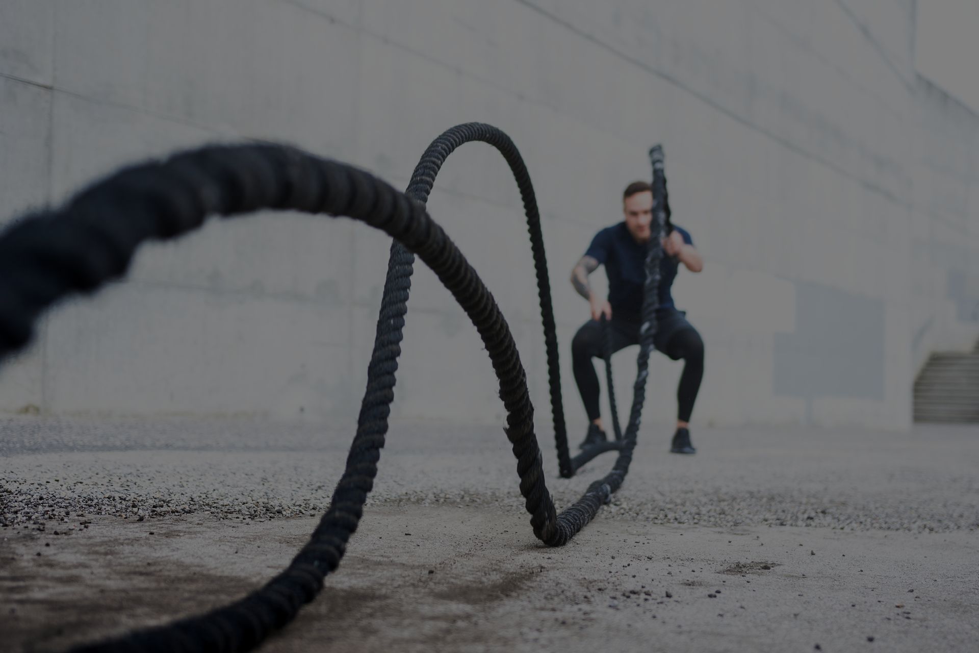 Seile und Ropes von Perform Better kaufen | Nr.1 für Functional Training